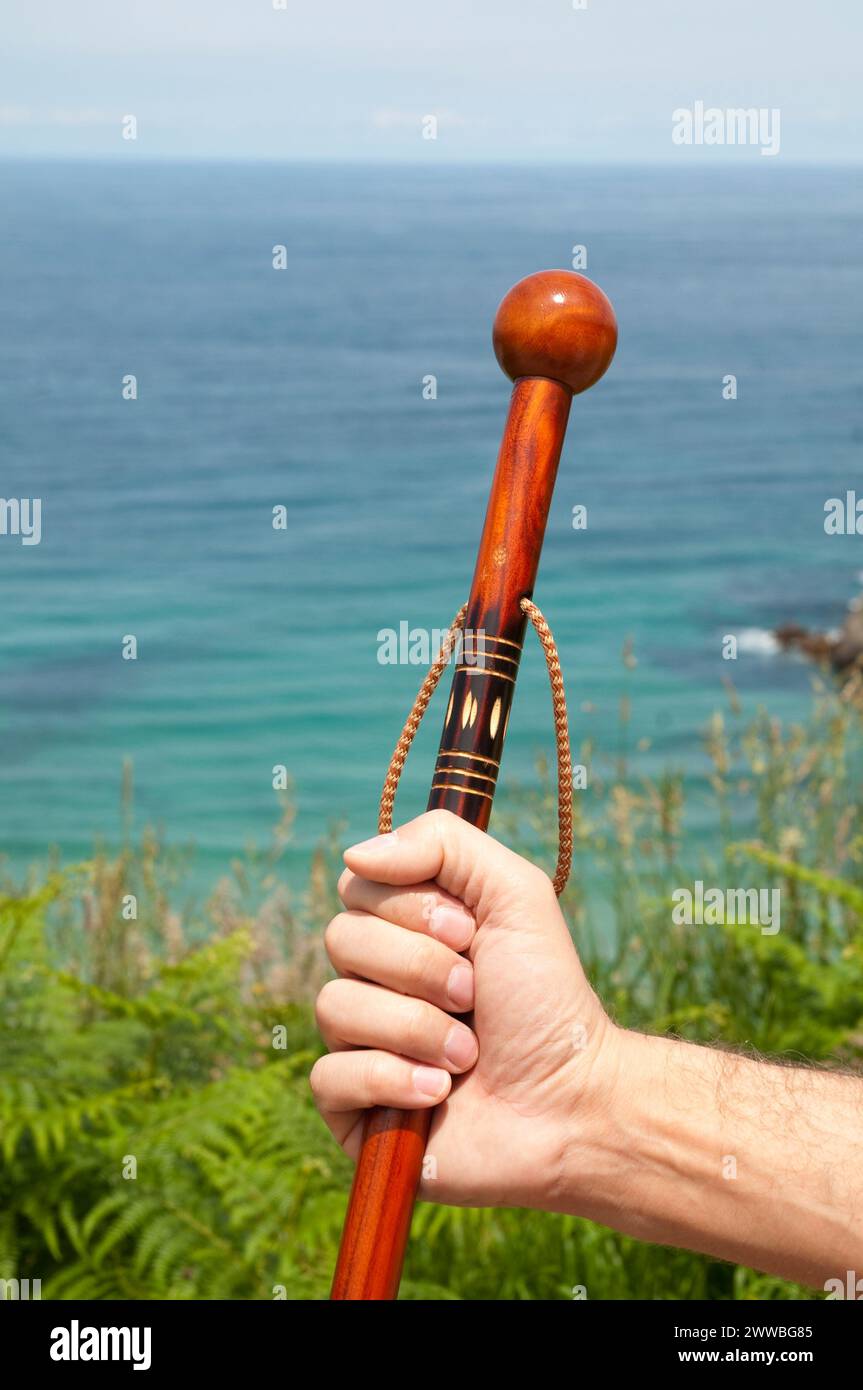 Man's hand holding a walking stick Stock Photo - Alamy
