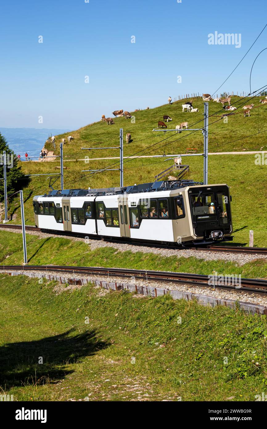 Arth–Rigi railway line rack railway train on Rigi mountain in Swiss ...