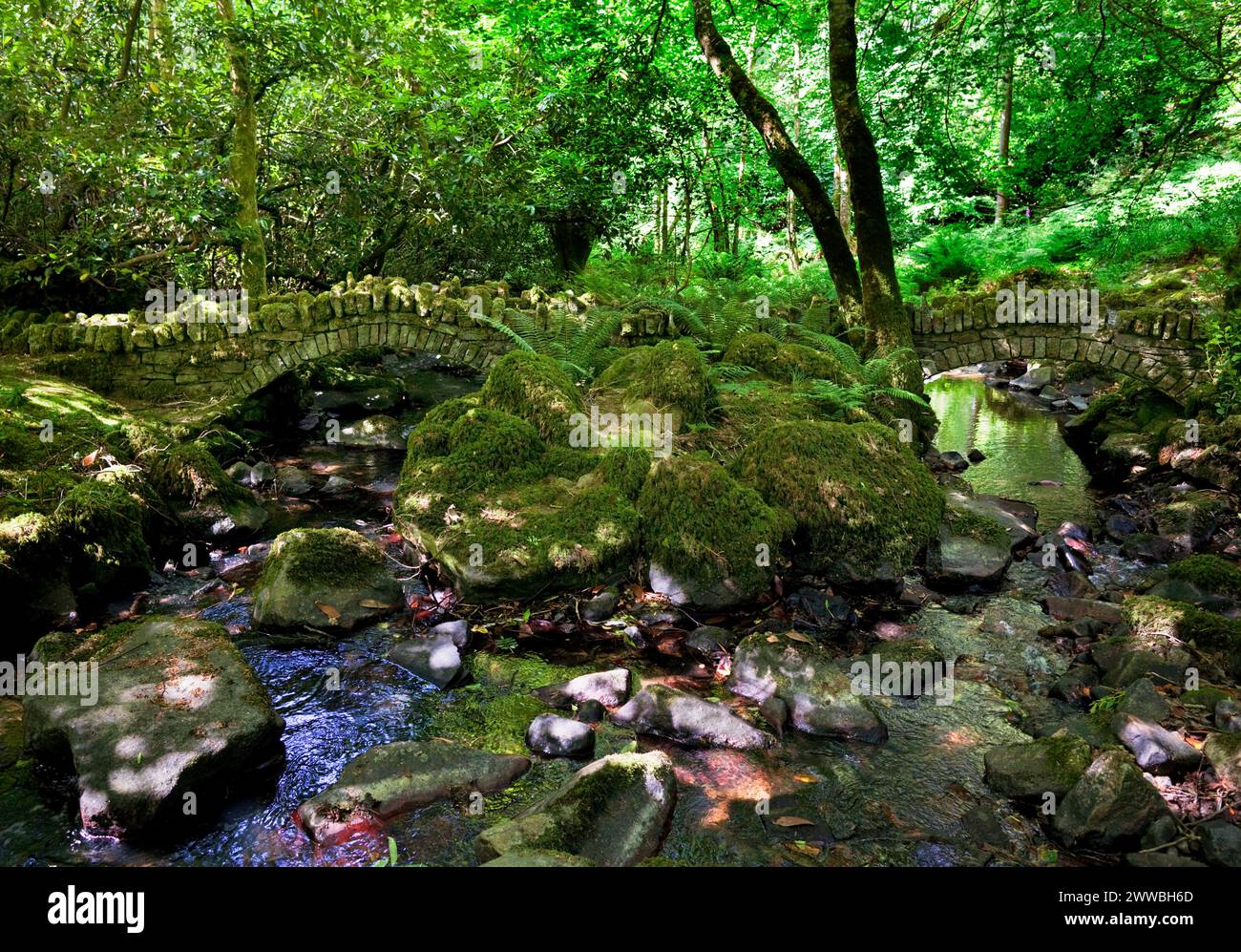 Moss-covered bridges in Kilfane Glen in County Kilkenny, Ireland ...