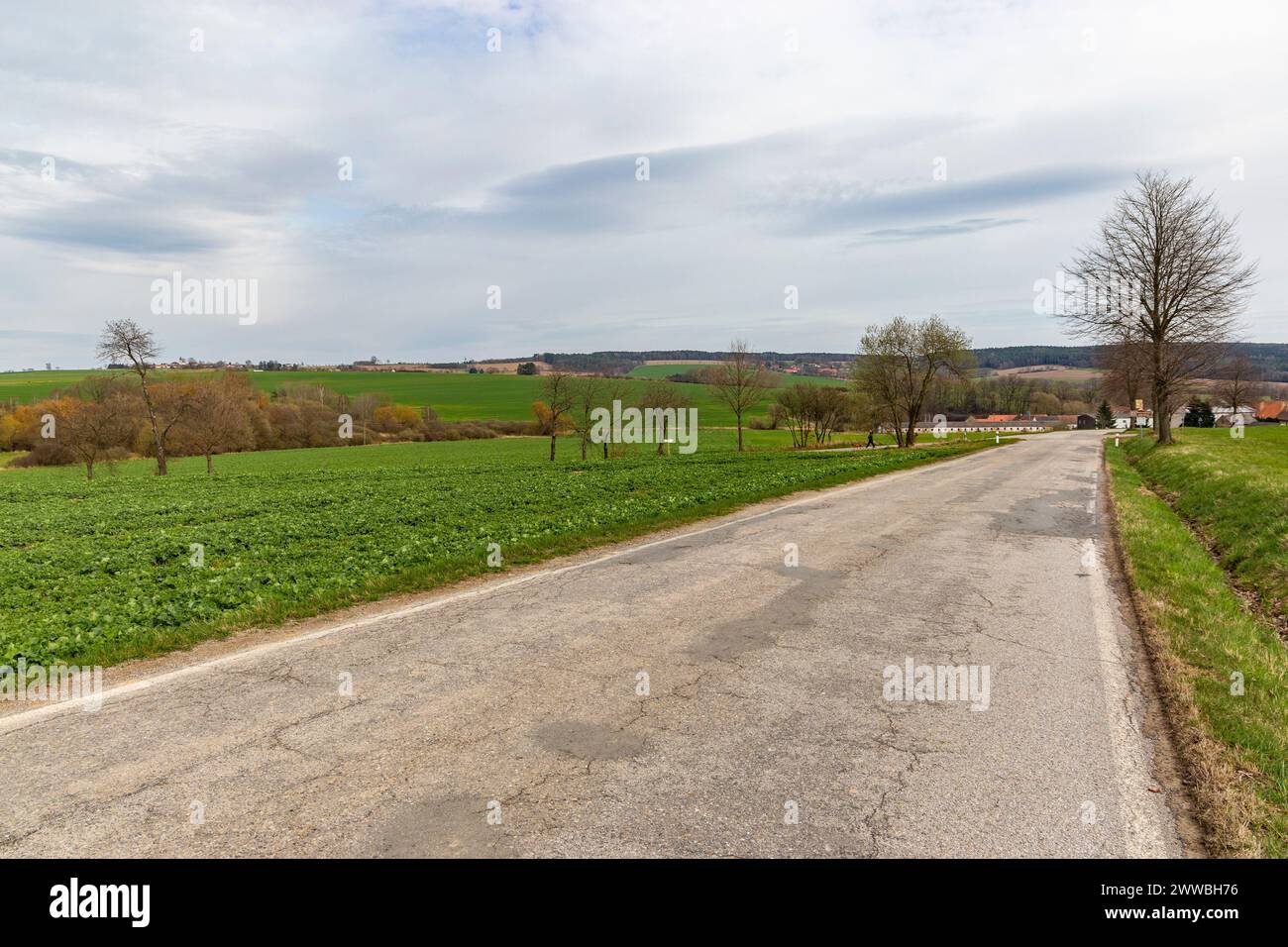 Czechia grain hi-res stock photography and images - Alamy