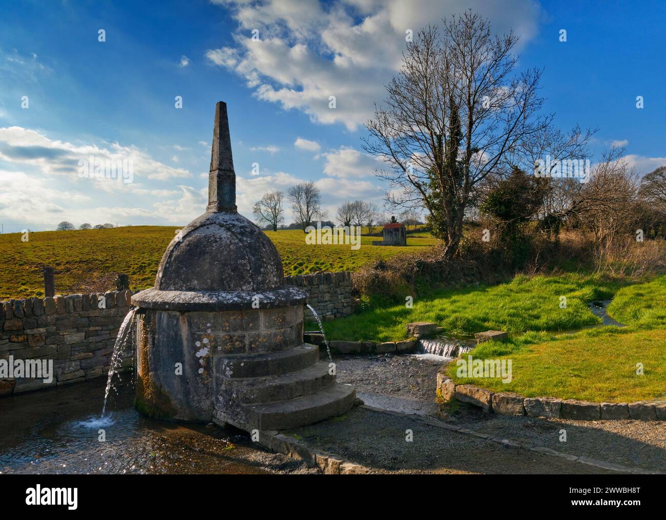 The 17th Century, Italian Baroque, Stroan Fountain, aka the Bushes ...