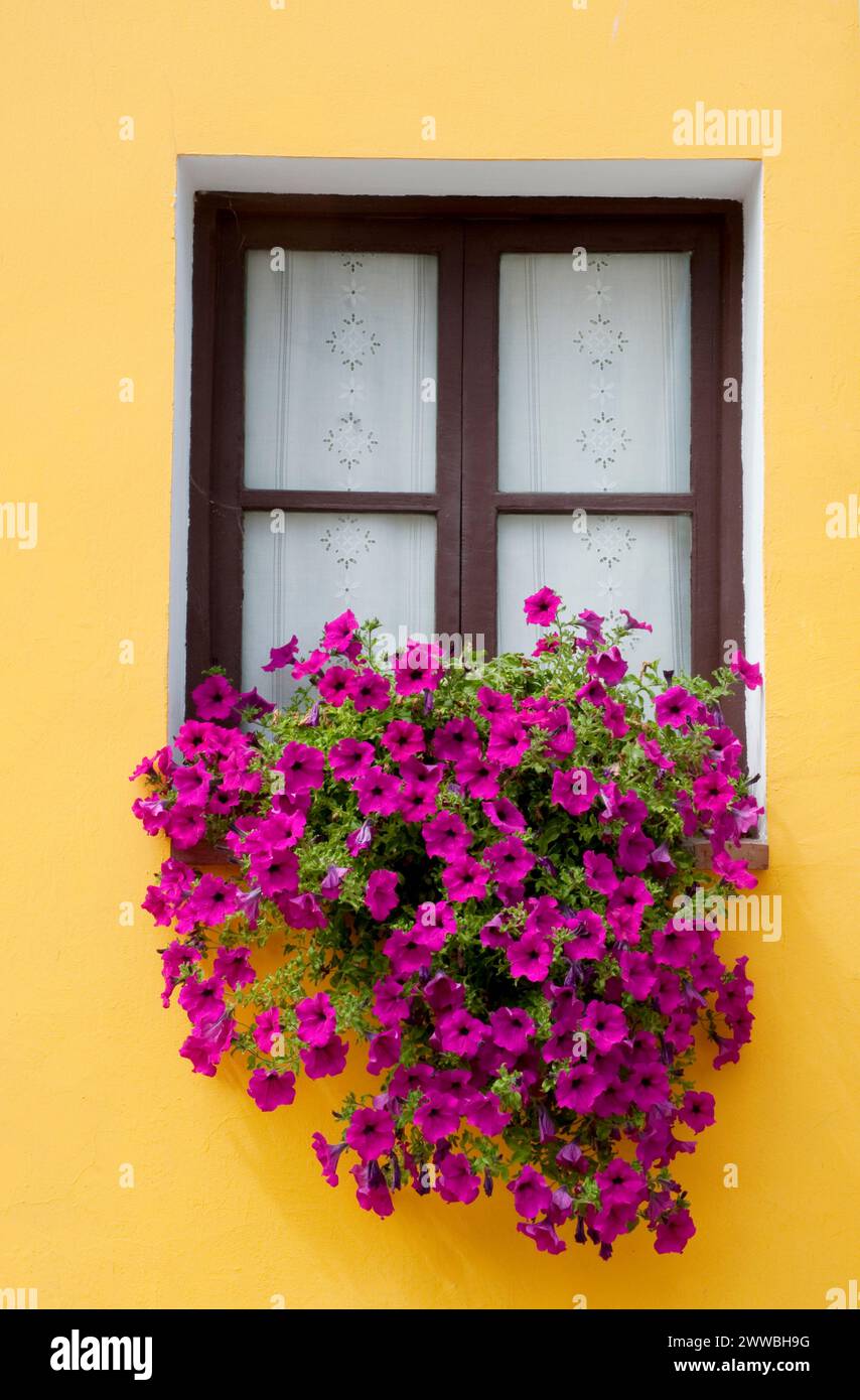 Window with flowers. Porrua, Asturias, Spain Stock Photo - Alamy