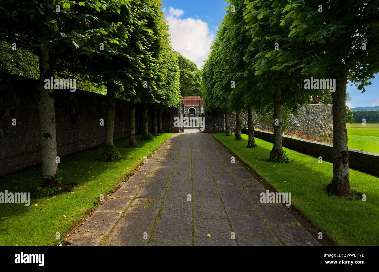 The pollarded lime tree walk in the "Italian Gardens" at Heywood at ...