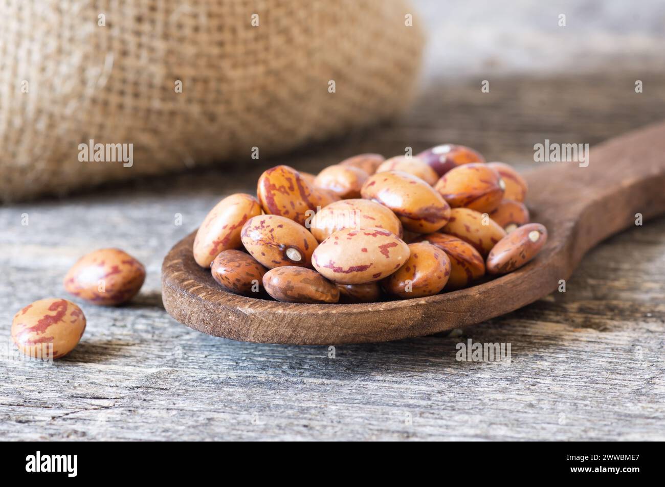Uncooked dried roman beans in bowl or spoon on table, heap of legume ...