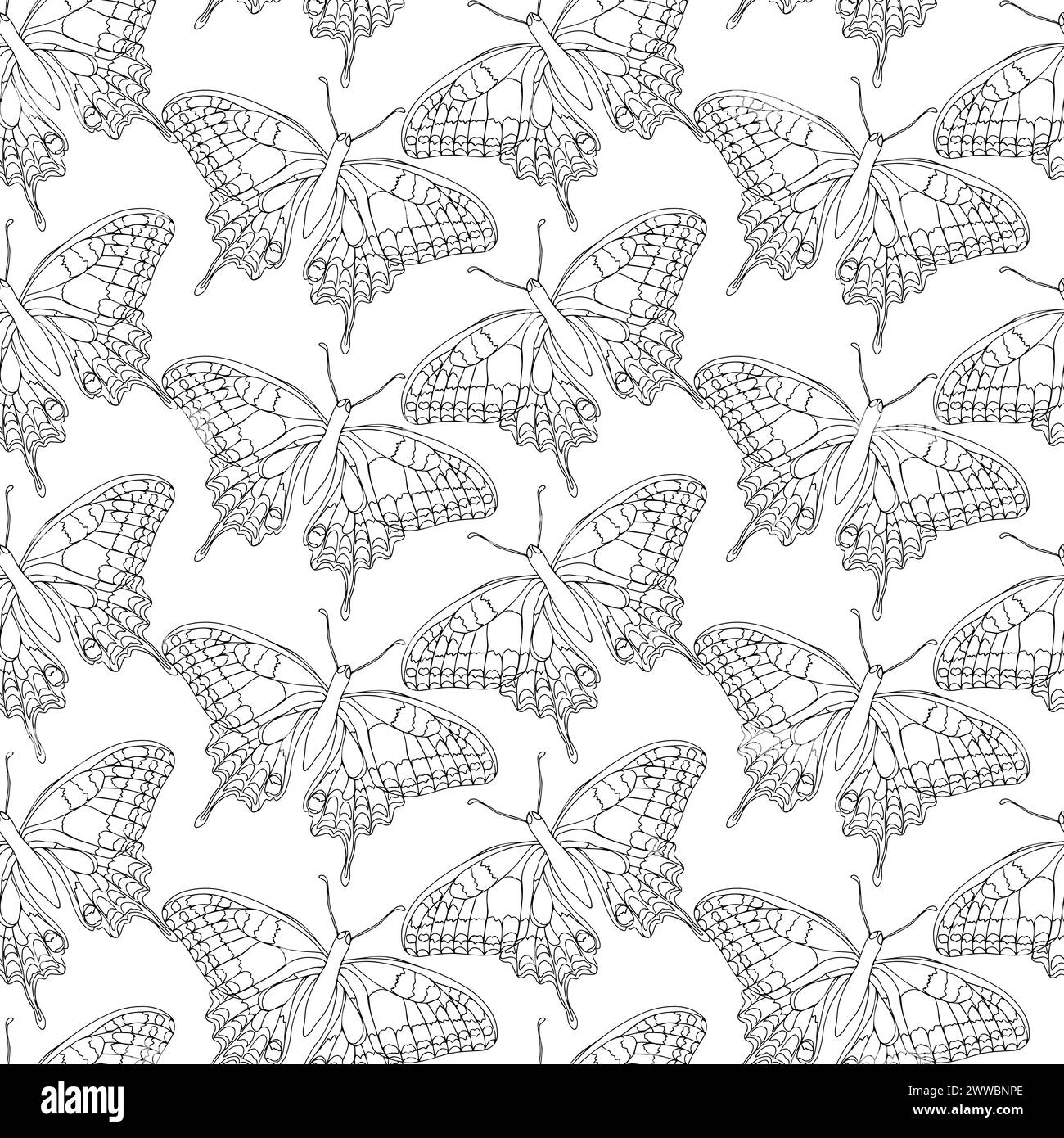 Butterflies black and white ink line vector seamless pattern background ...