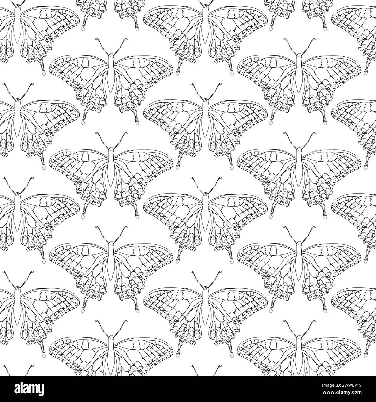 Butterflies black and white ink line vector symmetry seamless pattern ...