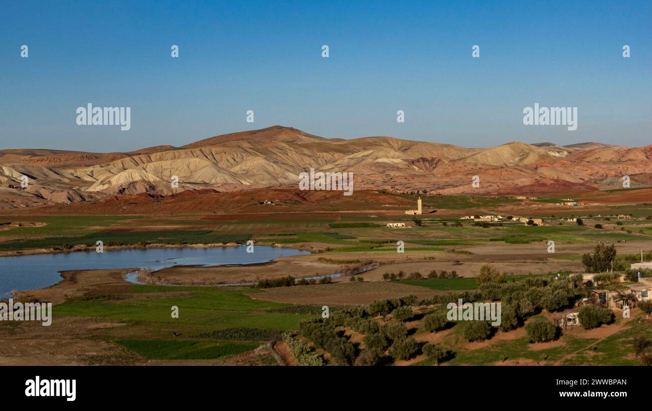 Mosque of the olive tree mosque hi-res stock photography and images - Alamy