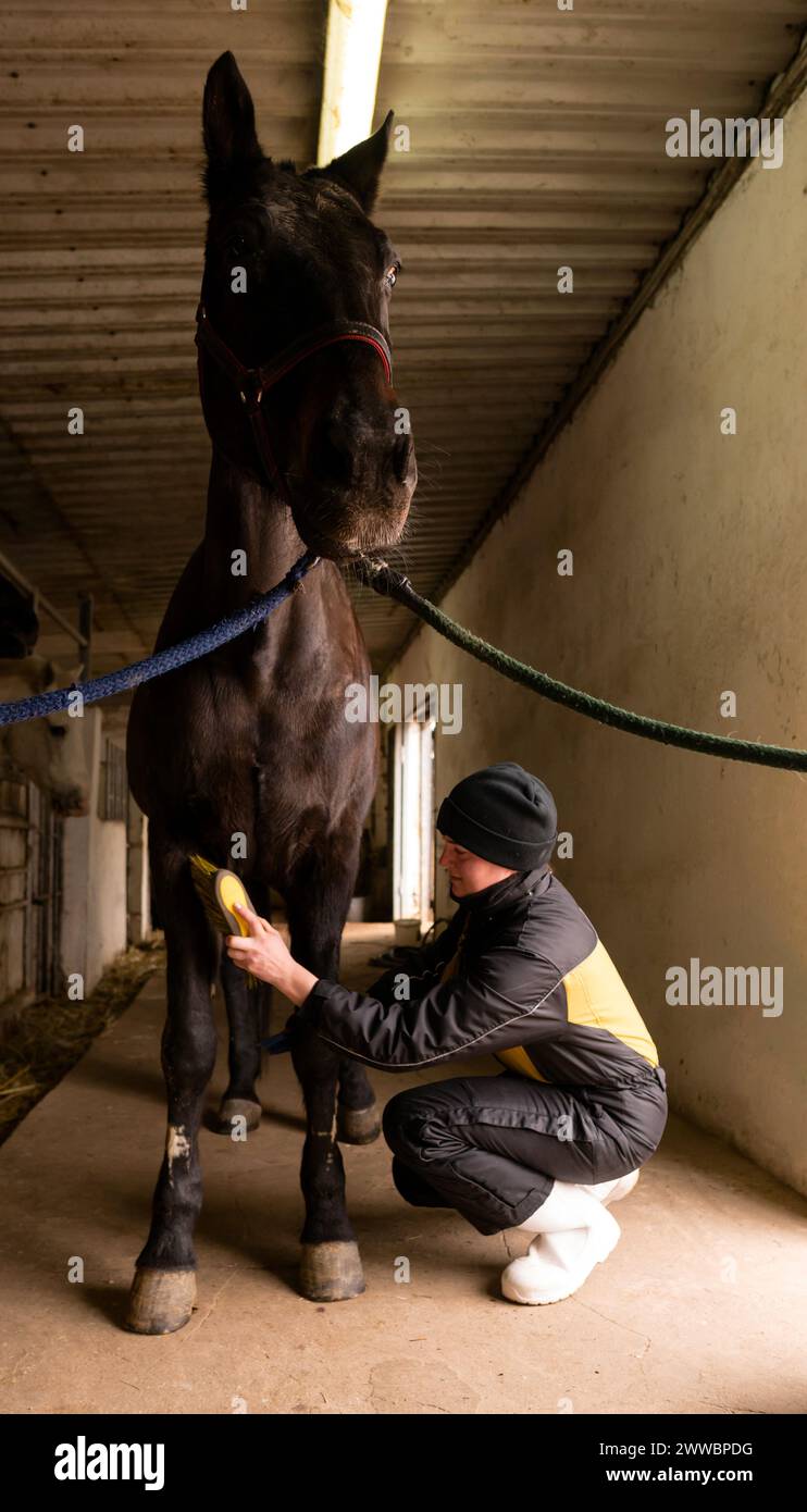 Stablework hi-res stock photography and images - Alamy