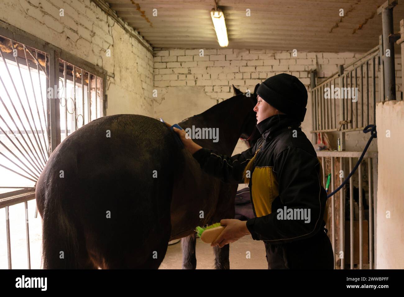 Stablework hi-res stock photography and images - Alamy