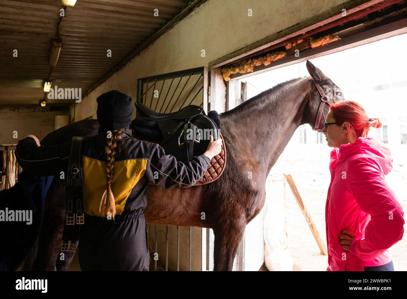 Two people saddling a brown horse in stable. Preparing your horse for a ...