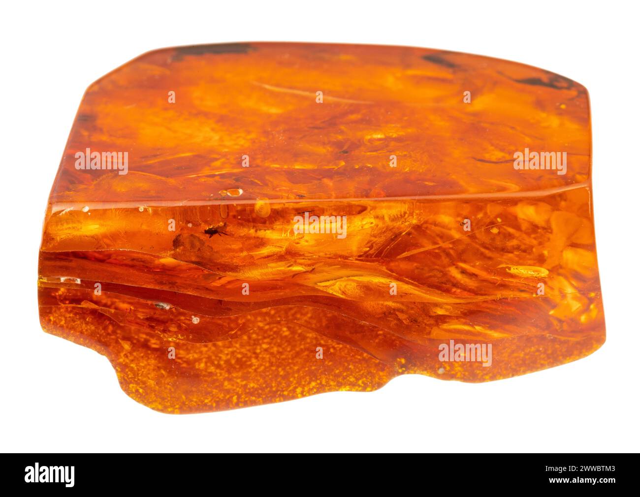 polished natural baltic amber gem stone isolated on white background ...