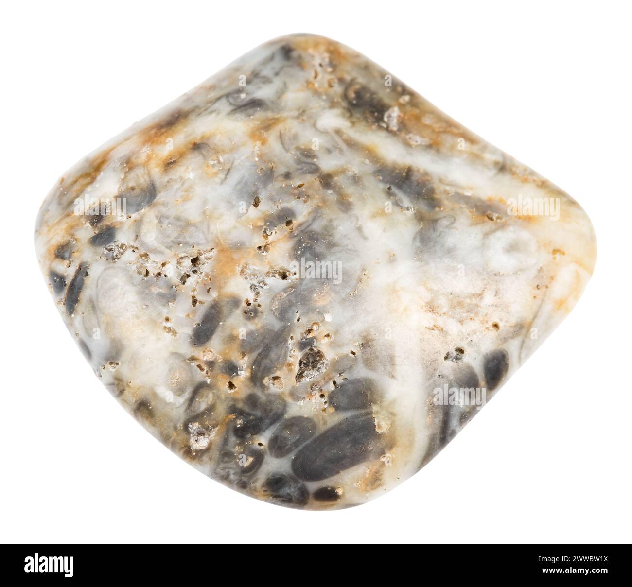 close up of sample of natural stone from geological collection ...