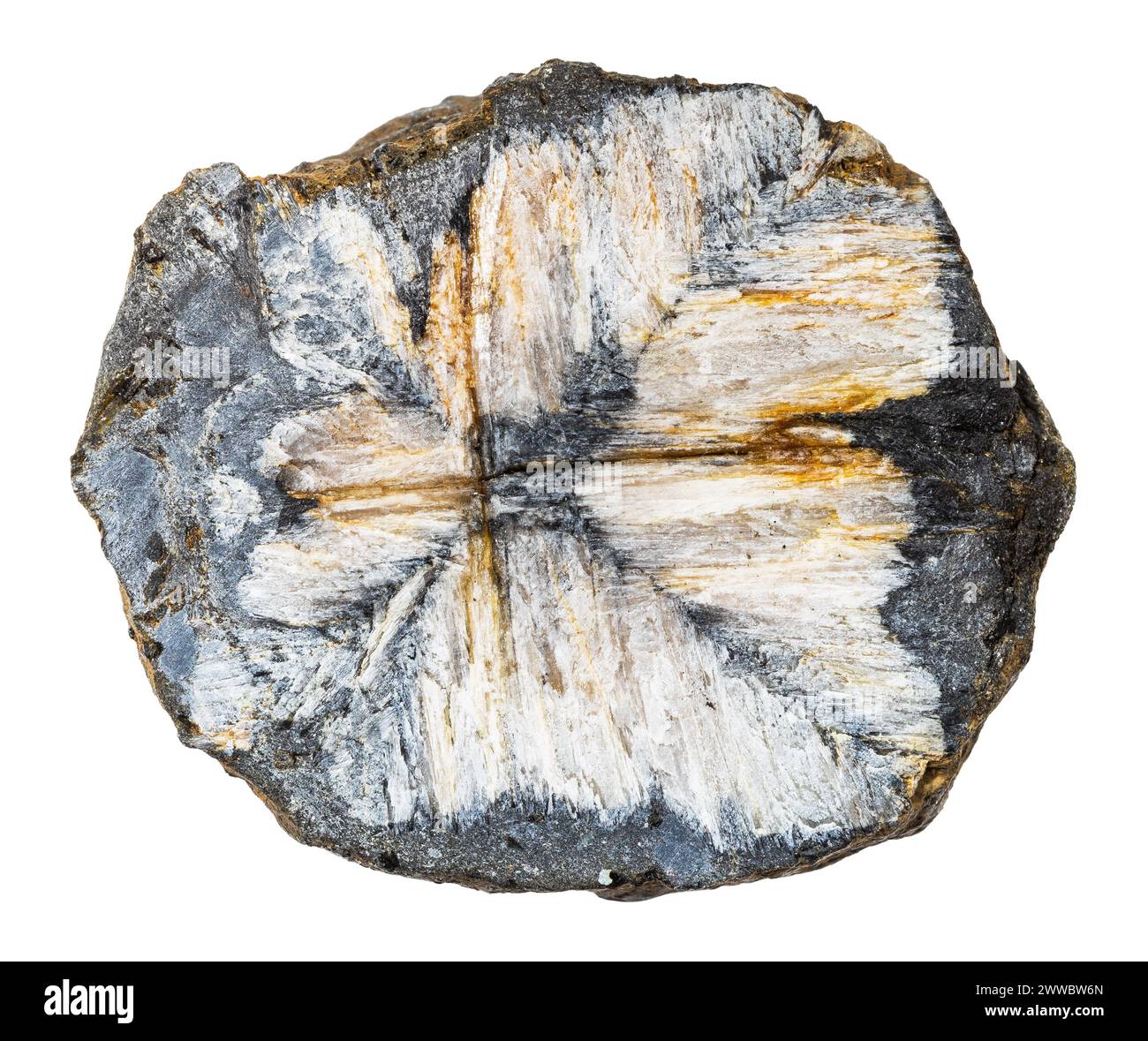 close up of sample of natural stone from geological collection - raw ...