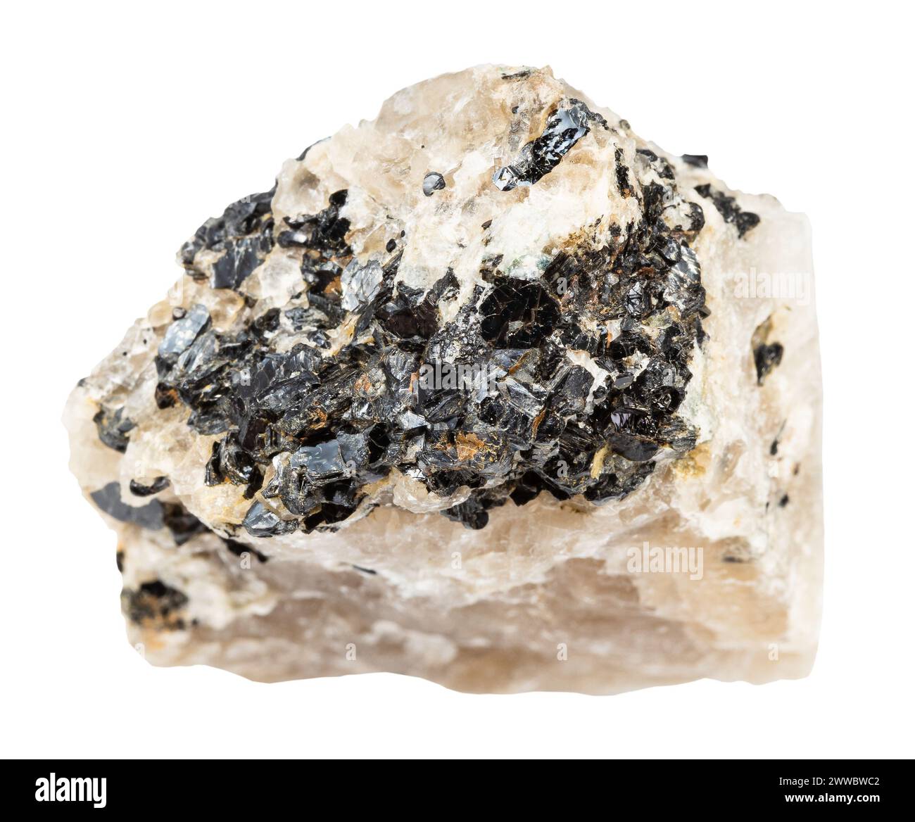 close up of sample of natural stone from geological collection - annite ...