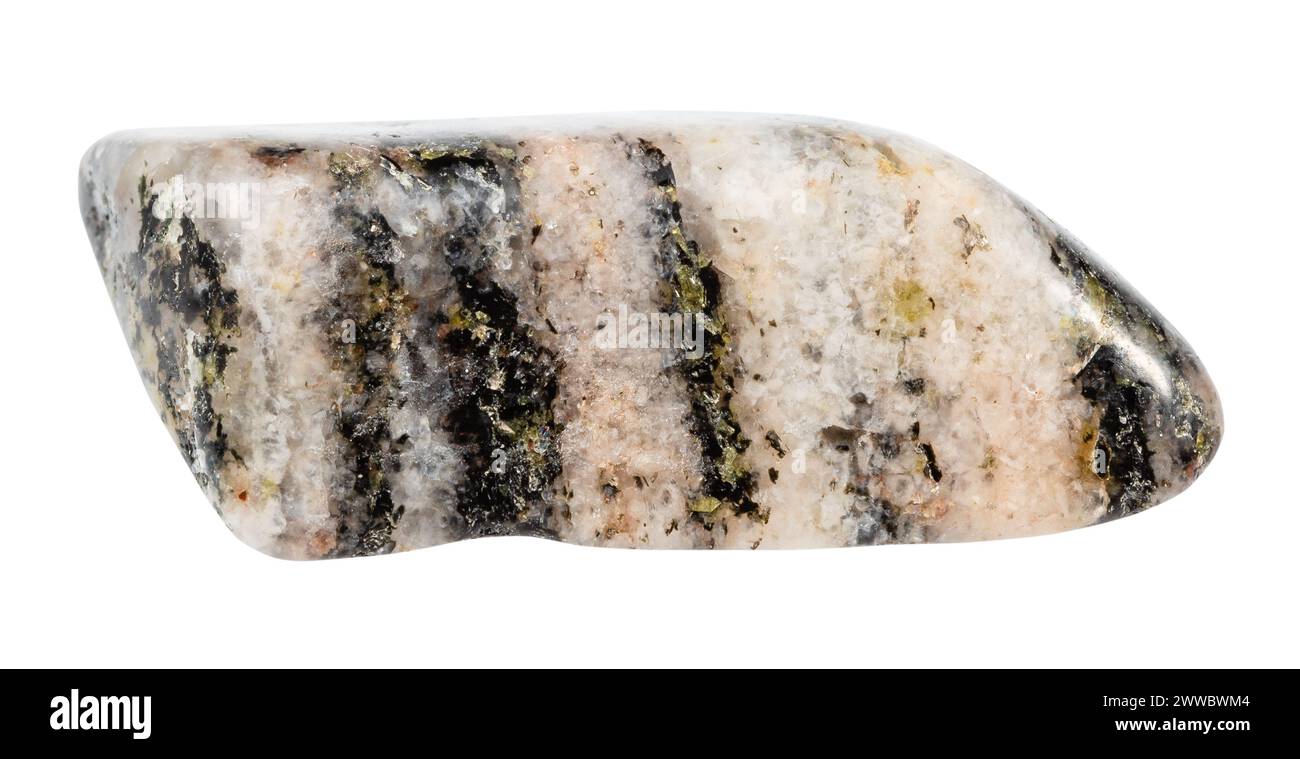 close up of sample of natural stone from geological collection - tumbled gneiss mineral isolated ...