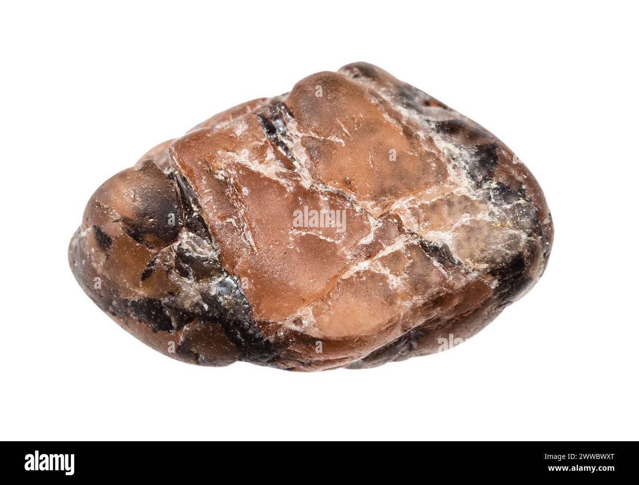 close up of sample of natural stone from geological collection ...