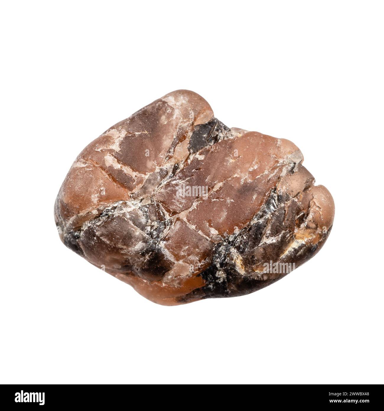 close up of sample of natural stone from geological collection ...