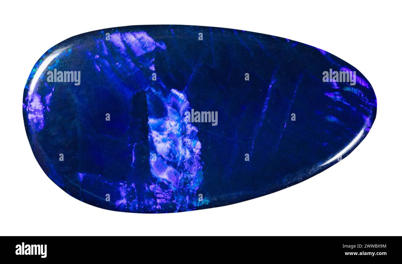 close up of sample of stone from geological collection - polished ...