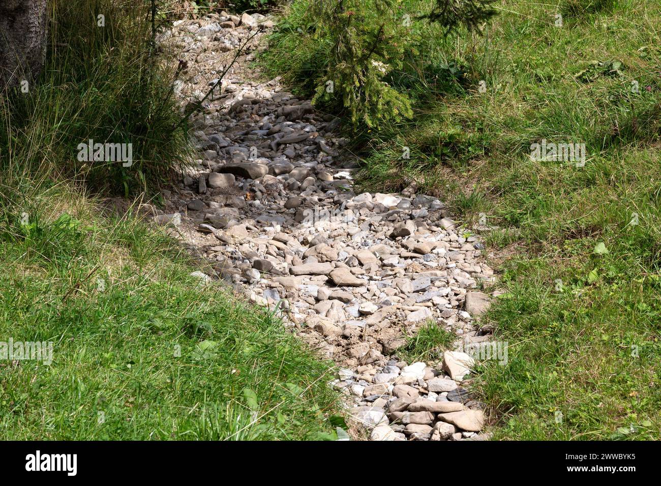 Dried Out Stream Bed Stock Photo - Alamy