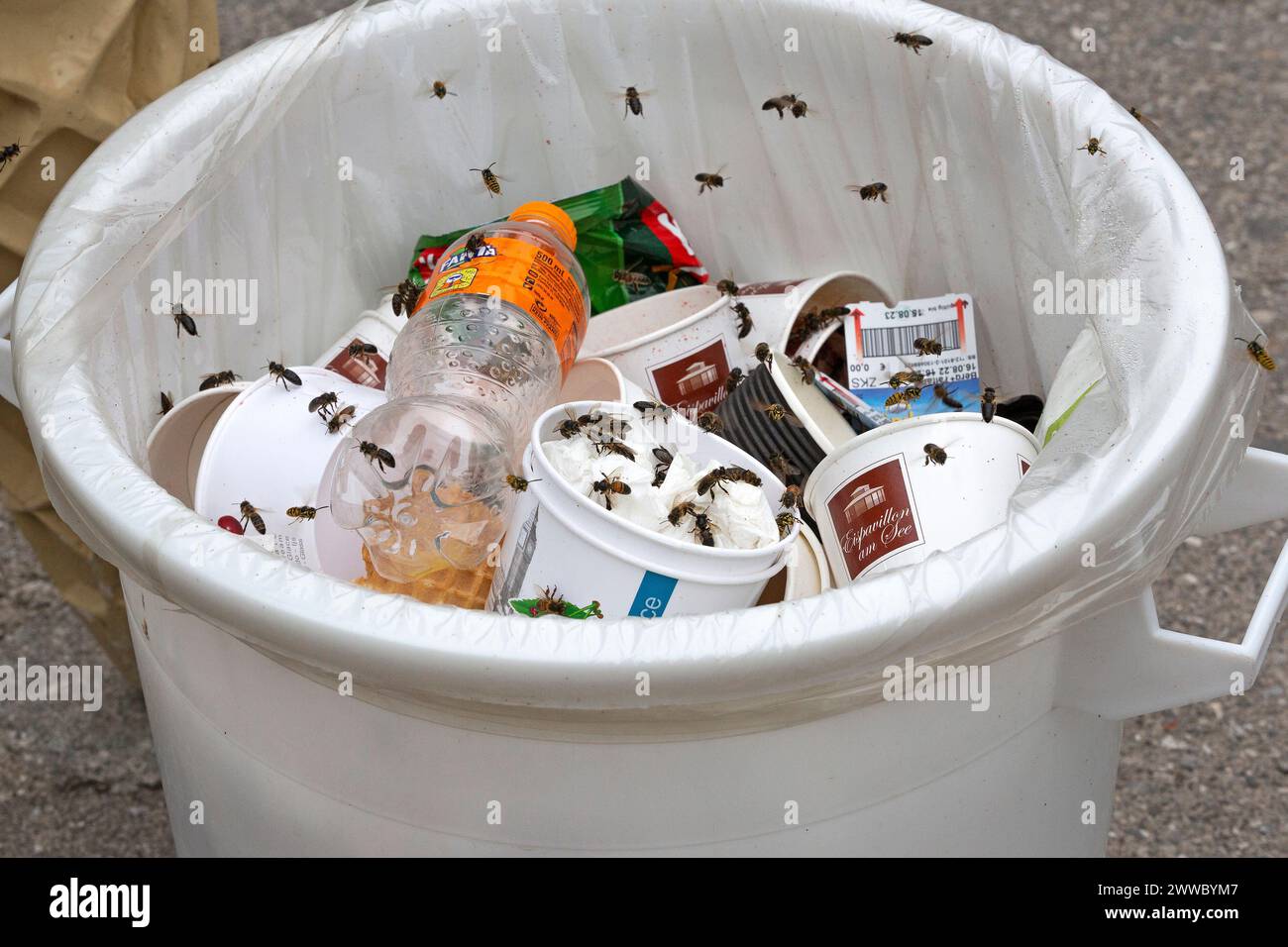 Residual waste garbage cans hi-res stock photography and images - Alamy