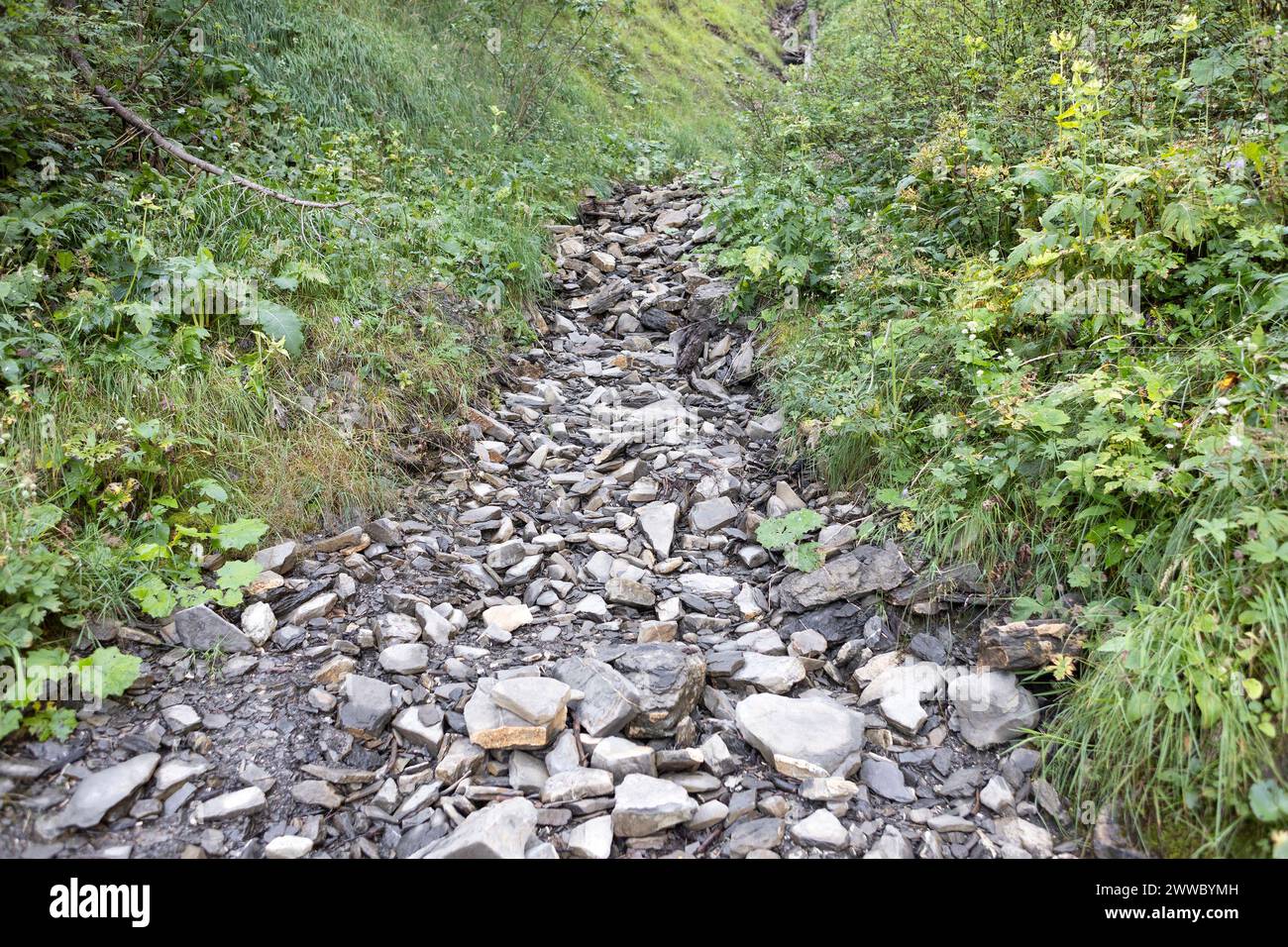 Dried Out Stream Bed, Mellau, Bregenzerwald, Vorarlberg, Austria Stock ...