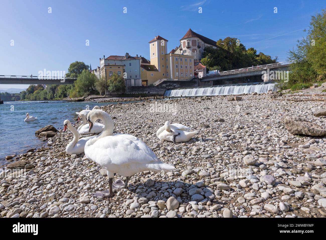 Steyr estuary hi-res stock photography and images - Alamy