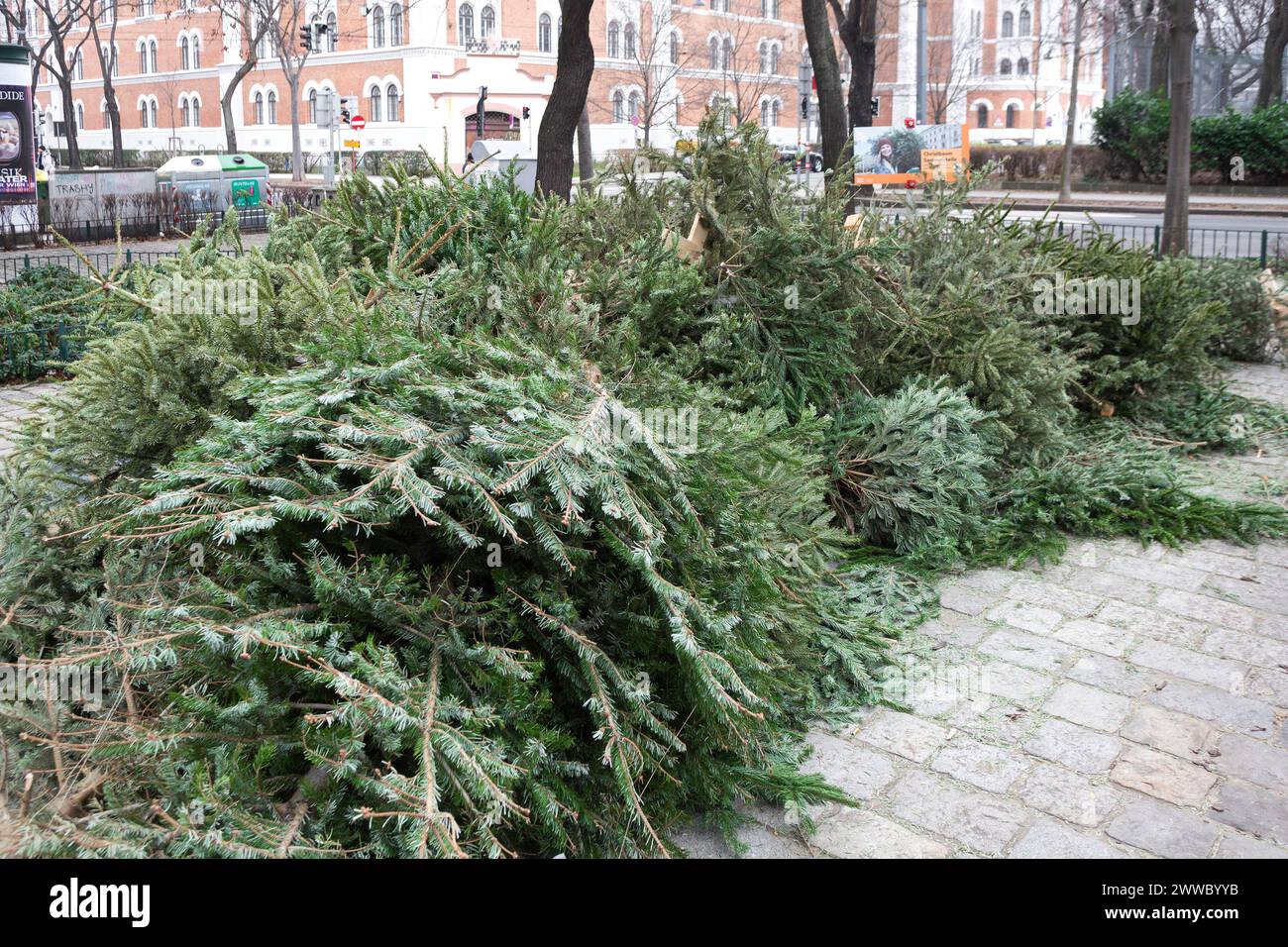 Christmas tree recycling points hi-res stock photography and images - Alamy