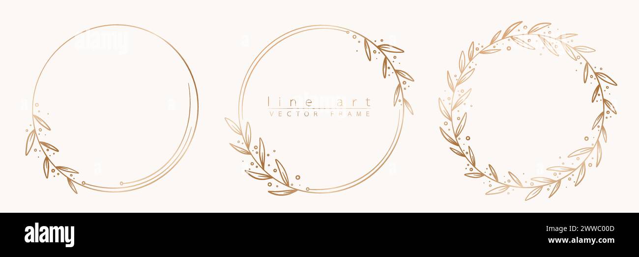 Botanical golden circle frame set Stock Vector Image & Art - Alamy