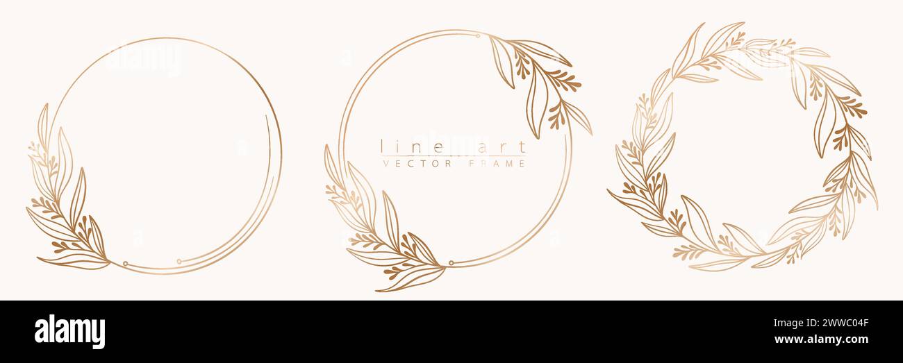Botanical golden circle frame set Stock Vector Image & Art - Alamy