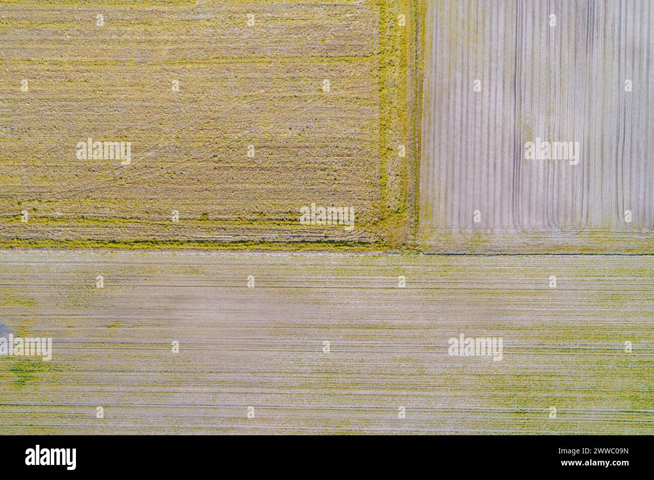 Agricultural texture hi-res stock photography and images - Alamy