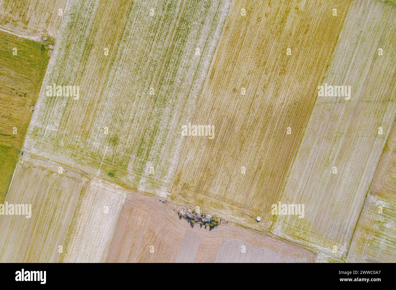 Grass texture top view hi-res stock photography and images - Alamy