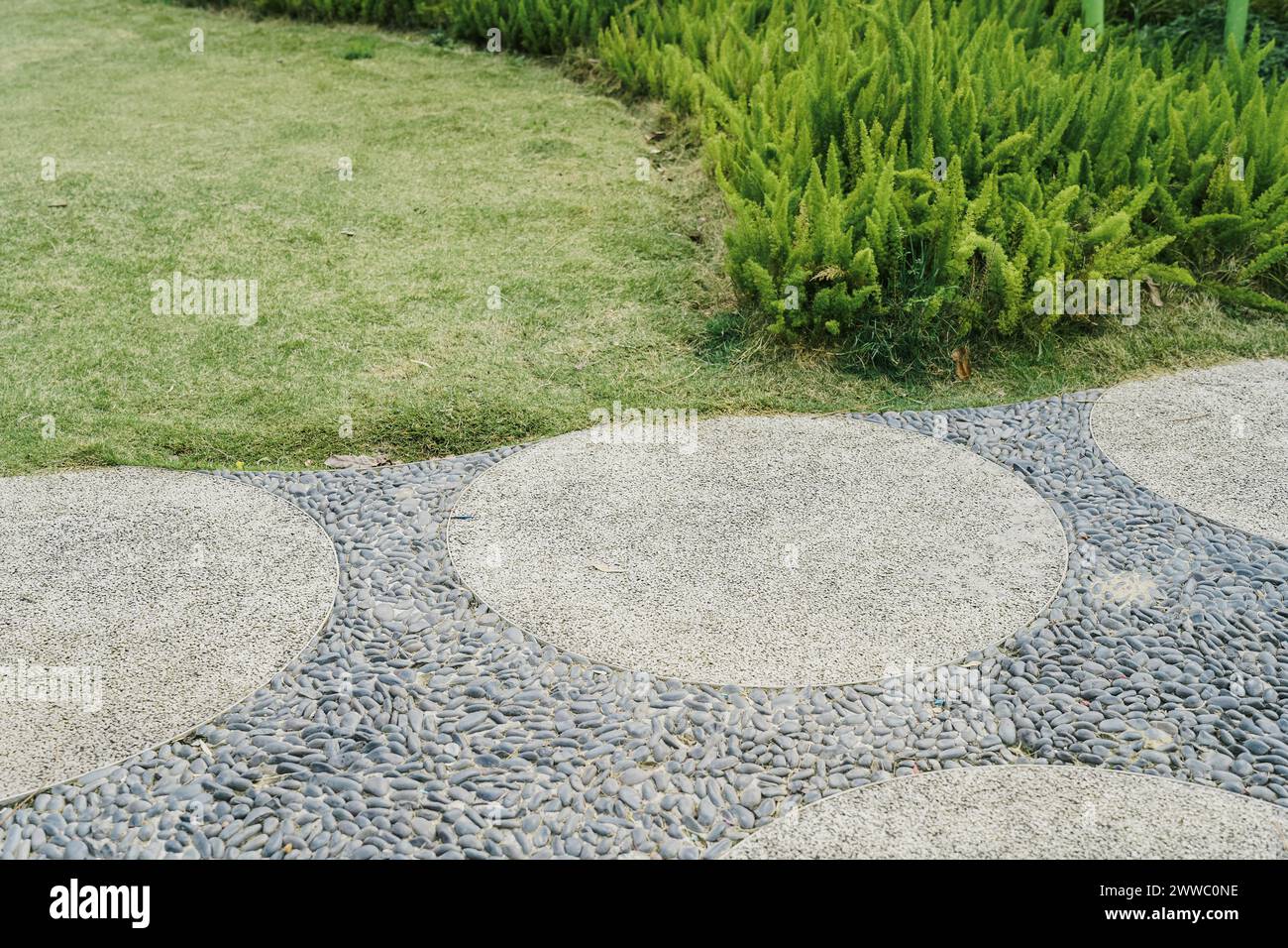 Walkway and bush. That is concrete pavement, floor, path, footpath ...