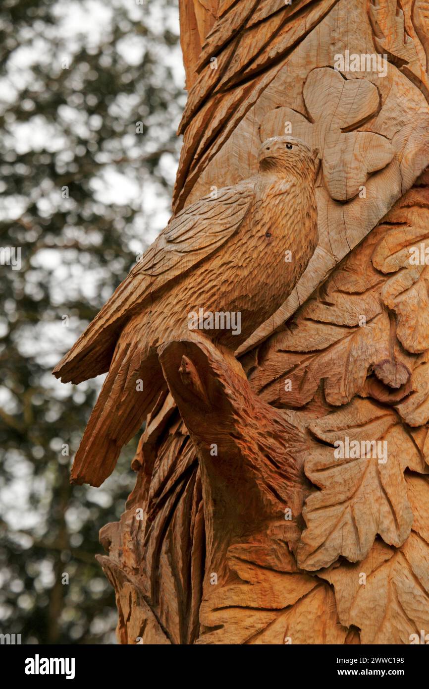 Close-up of the carving to commemorate King Charles III Coronation. The ...