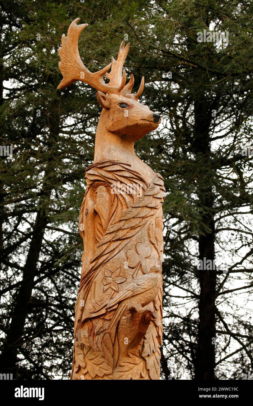 Close-up of the carving to commemorate King Charles III Coronation. The ...