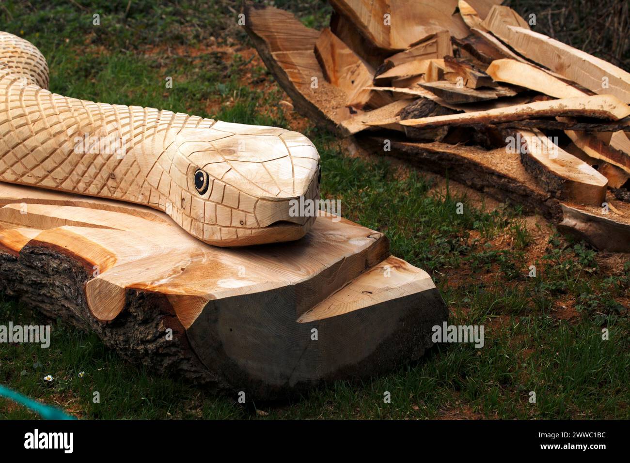 Carving of a Grass snake from a fallen log. Cirencester Park, Glos. UK ...