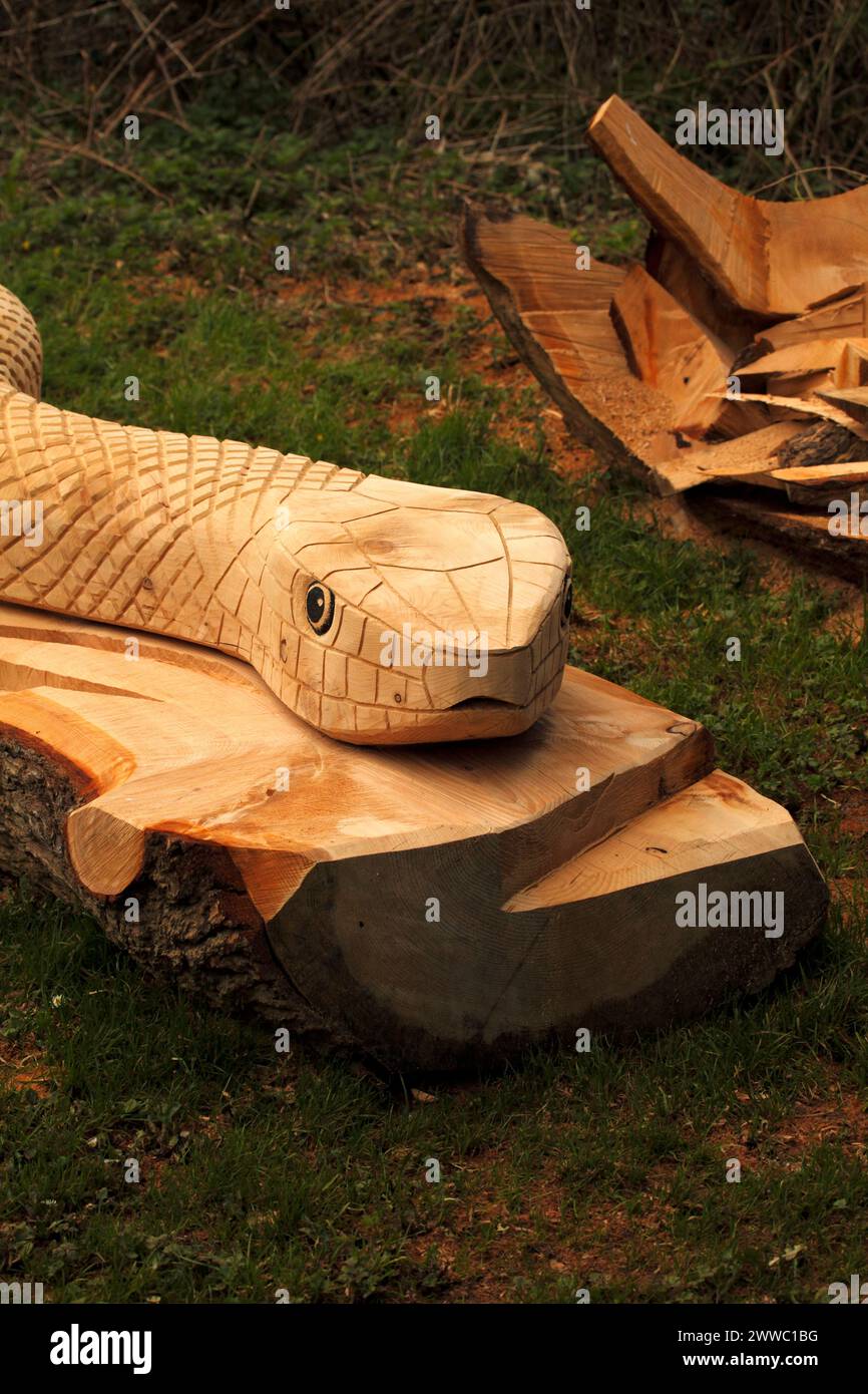 Carving of a Grass snake from a fallen log. Cirencester Park, Glos. UK ...