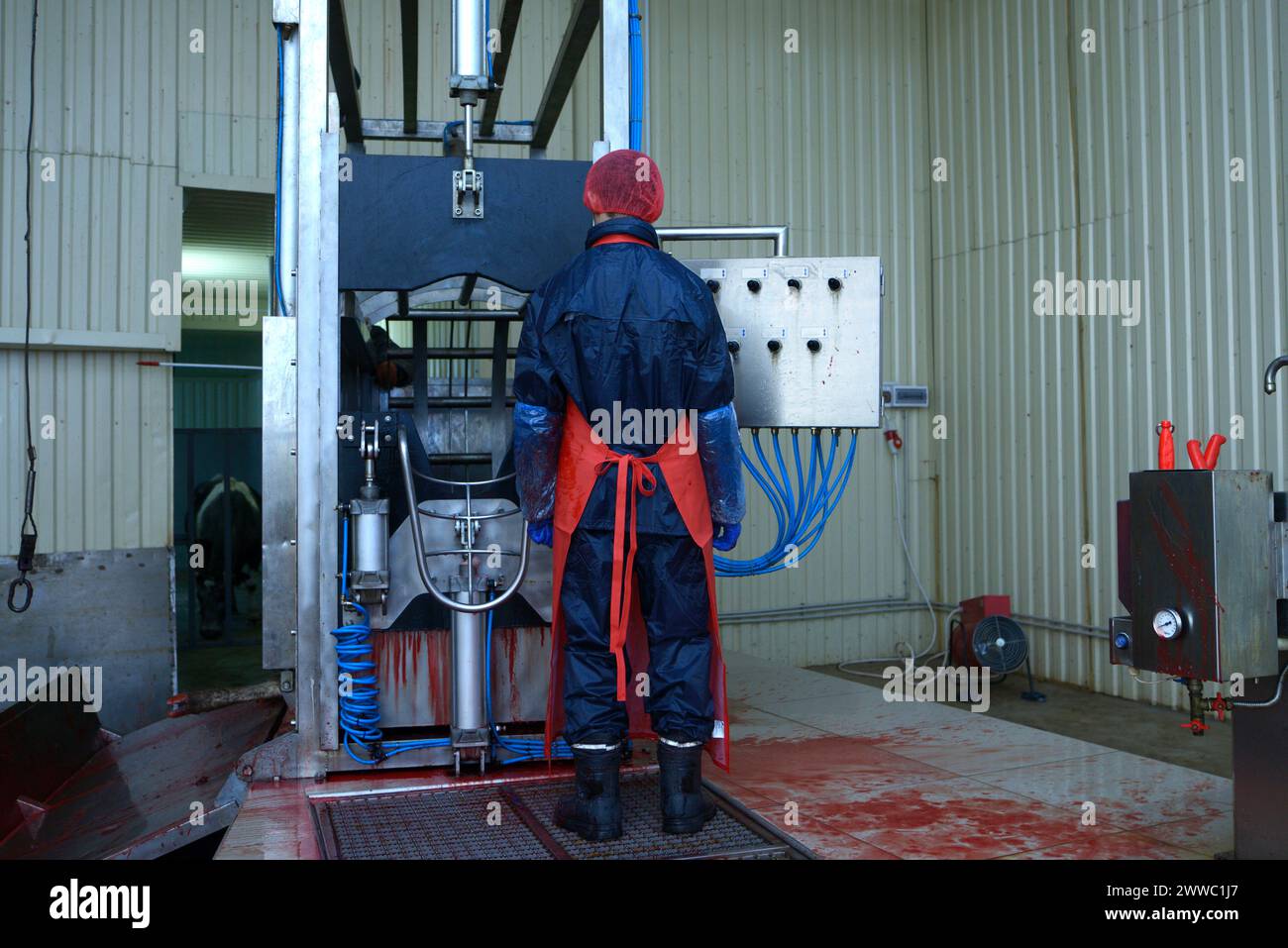 Cattle pen gate hi-res stock photography and images - Alamy