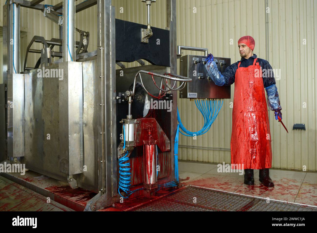 Slaugjter hi-res stock photography and images - Alamy