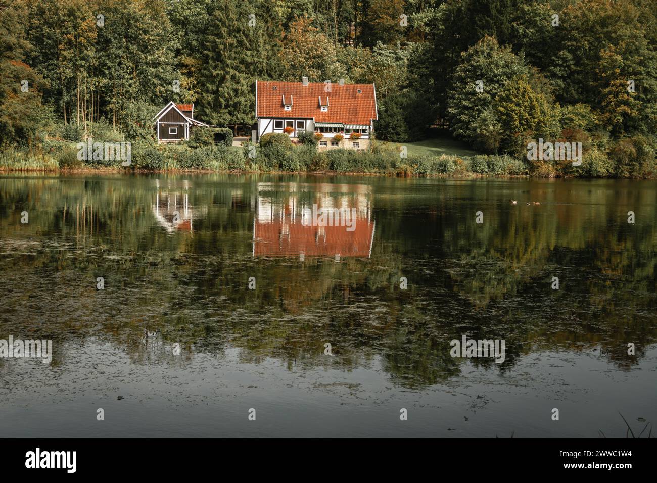 House by the lake in Teutoburg Forest natural landscape in North Rhine ...