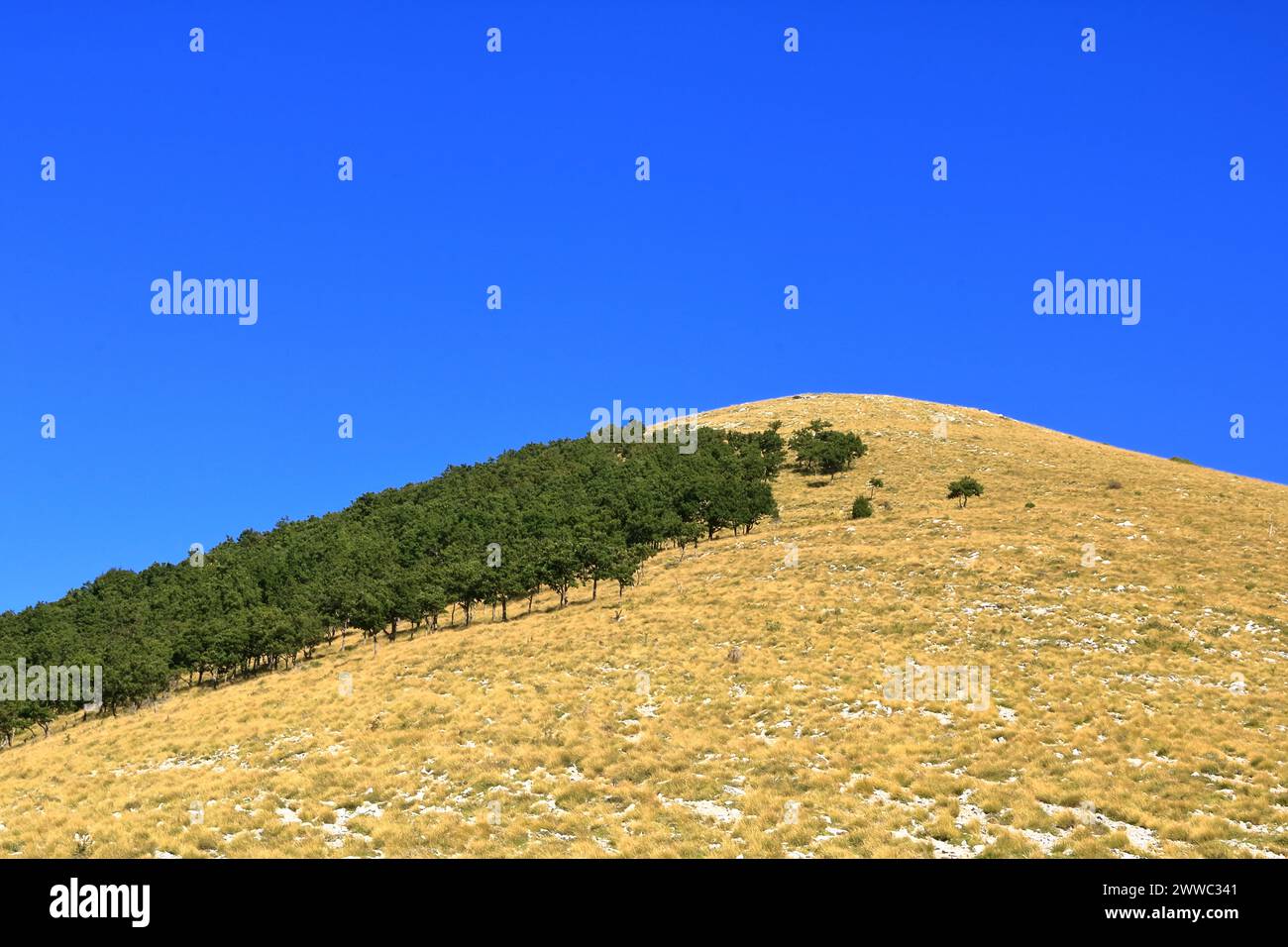 In the depths of Llogara National Park in Albania. On the trail in the ...
