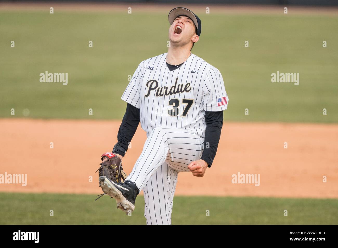 20240322164119 hi-res stock photography and images - Alamy