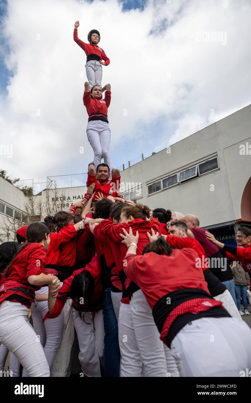 London, UK. 23 March 2024. Castells, ‘human towers’, are built by ...