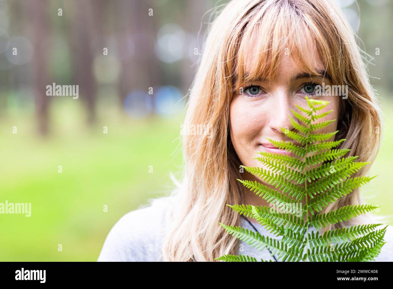 Fern leaves back lit hi-res stock photography and images - Alamy