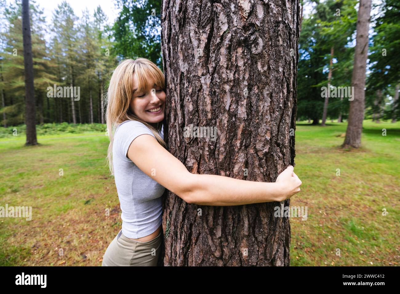 Smiling young woman hugging tree trunk in forest Stock Photo - Alamy