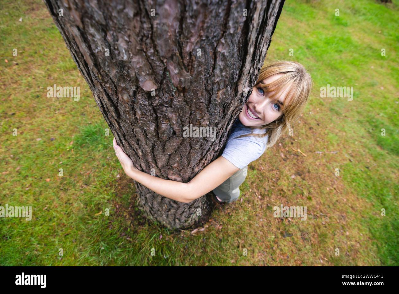 Smiling beautiful woman hugging tree Stock Photo - Alamy