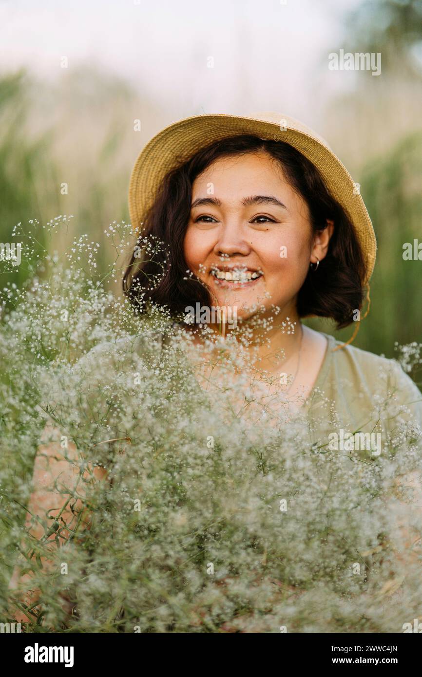 Field gypsophila hi-res stock photography and images - Alamy