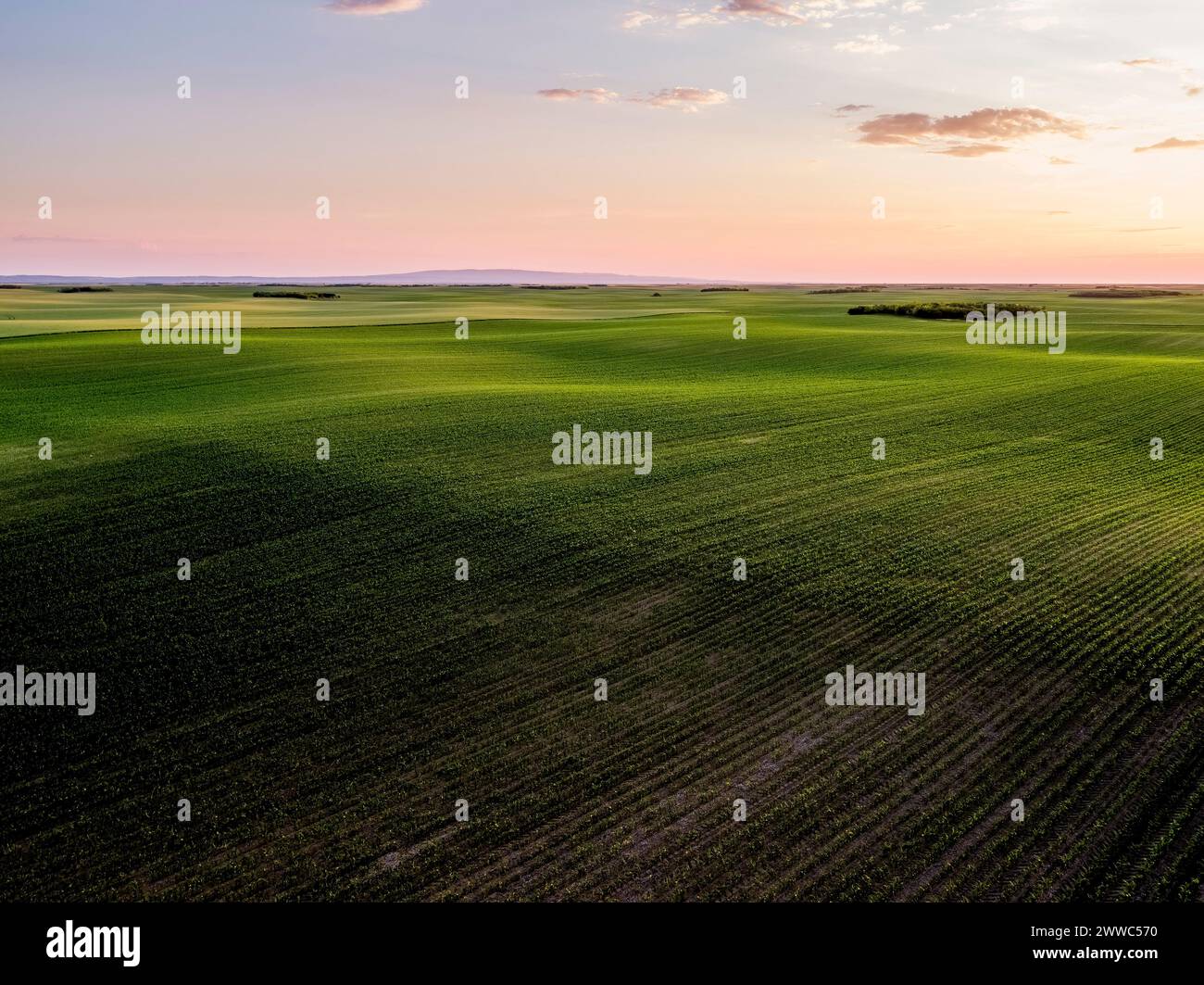 Under picture field hi-res stock photography and images - Alamy