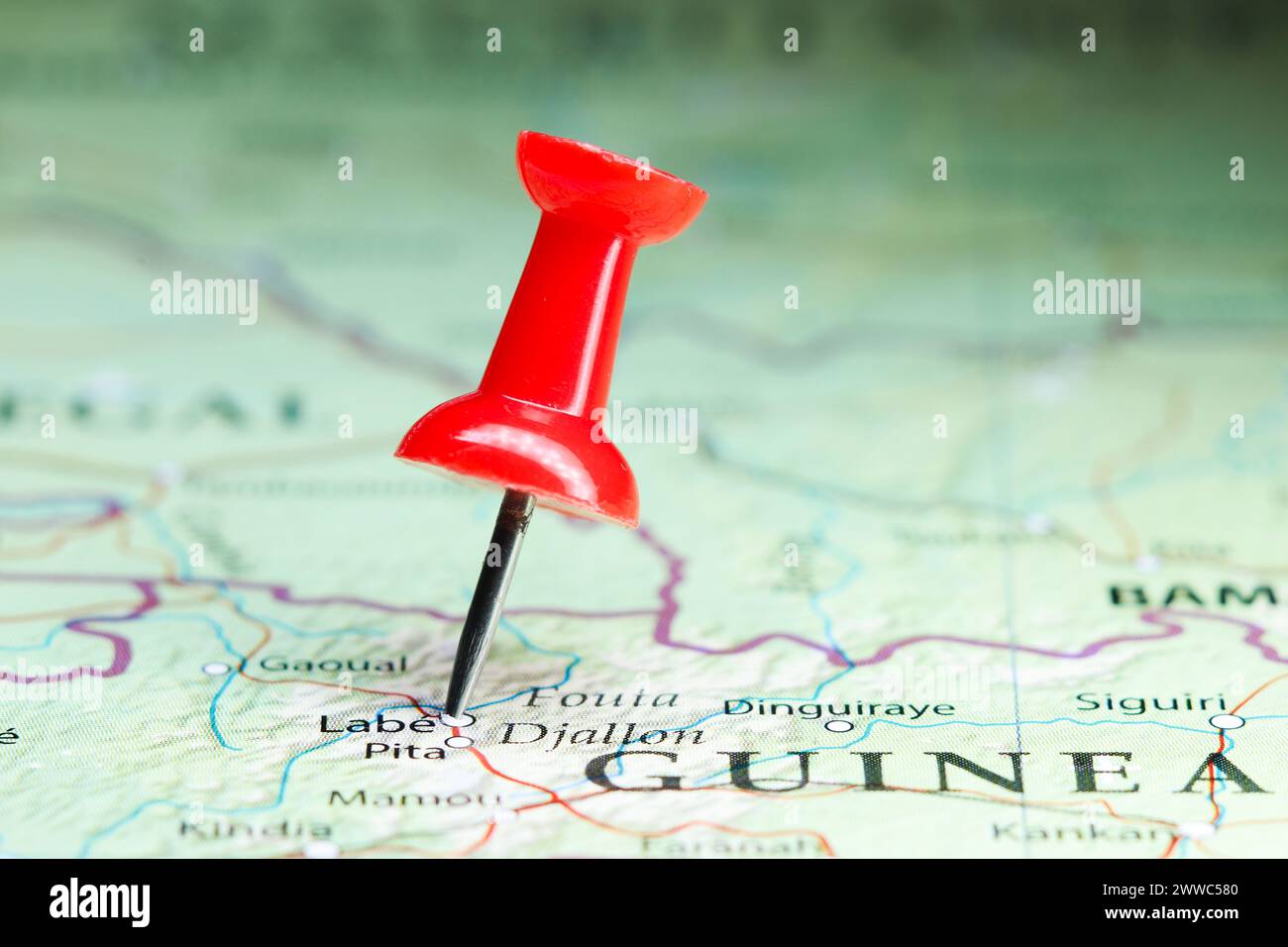 Lab, Guinea pin on map Stock Photo - Alamy