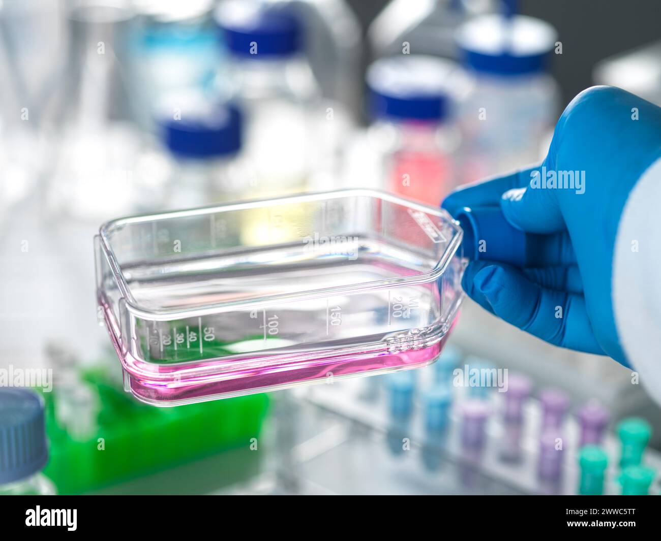 Hand of scientist holding glassware with liquid in laboratory Stock ...