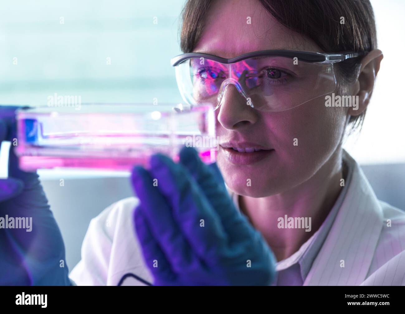 Scientist examining liquid in glassware and experimenting in laboratory ...